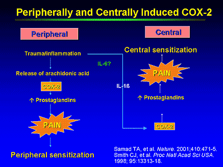New Insights Into COX-2 Specific Inhibition for Pain and Arthritis Therapy