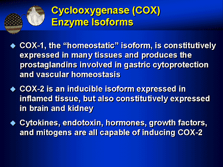New Insights Into COX-2 Specific Inhibition for Pain and Arthritis Therapy