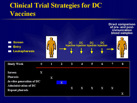 Therapeutic Cancer Vaccines: Targeting the Future of Cancer Treatment