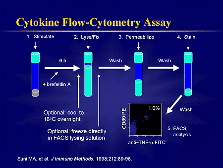 Therapeutic Cancer Vaccines: Targeting the Future of Cancer Treatment