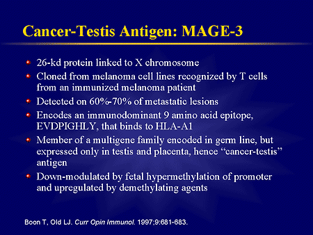 Therapeutic Cancer Vaccines: Targeting the Future of Cancer Treatment