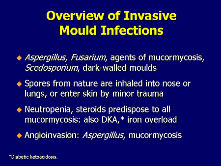 Management of Fungal Infections in the High-Risk Patient