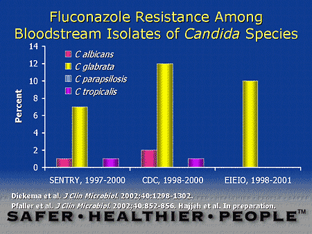 Management of Fungal Infections in the High-Risk Patient