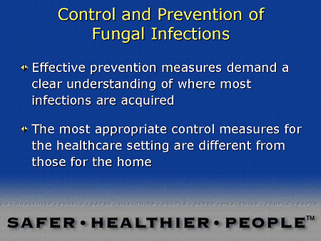 Management of Fungal Infections in the High-Risk Patient
