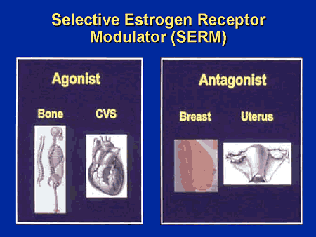 The Clinical Impact of the Women's Health Initiative (WHI): Entering a ...