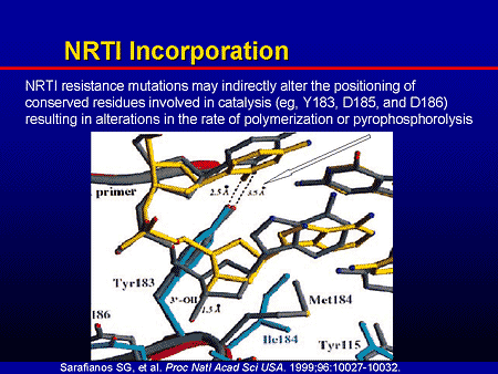 Science and ART: Optimizing the Use of NRTIs/NtRTIs in HIV Therapy