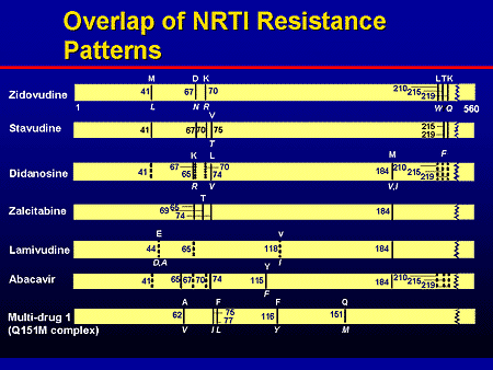 Science and ART: Optimizing the Use of NRTIs/NtRTIs in HIV Therapy