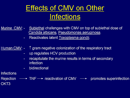 New Therapeutic Options in CMV Infection