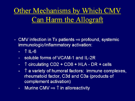 New Therapeutic Options in CMV Infection