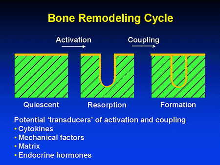 New Paradigms in the Management of Osteoporosis