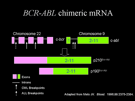 Changing Paradigms in the Treatment and Monitoring of CML