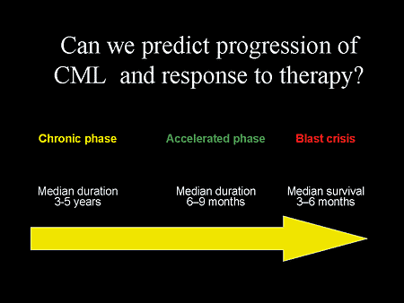 Changing Paradigms in the Treatment and Monitoring of CML