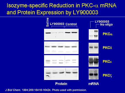 Anti-Sense Molecule Targeted to Protein Kinase C