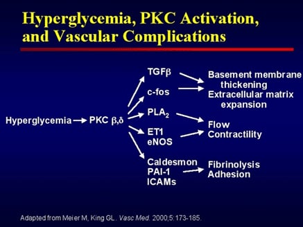 The Role of Protein Kinase C in Diabetic Microvascular Damage