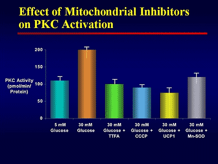 The Role of Protein Kinase C in Diabetic Microvascular Damage