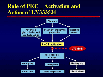 The Role of Protein Kinase C in Diabetic Microvascular Damage