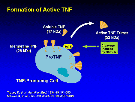 Advancing the Art and Science of Treating RA and Spondyloarthropathies ...