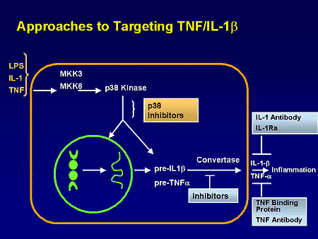 Advancing the Art and Science of Treating RA and Spondyloarthropathies ...