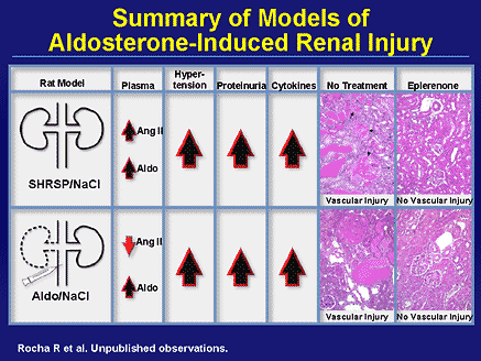 The Evolving Role of Aldosterone in Cardiovascular Disease: Rationale ...