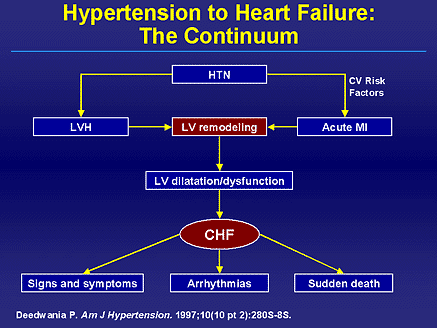 The Evolving Role of Aldosterone in Cardiovascular Disease: Rationale ...