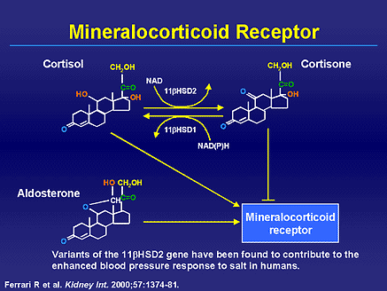 The Evolving Role of Aldosterone in Cardiovascular Disease: Rationale ...