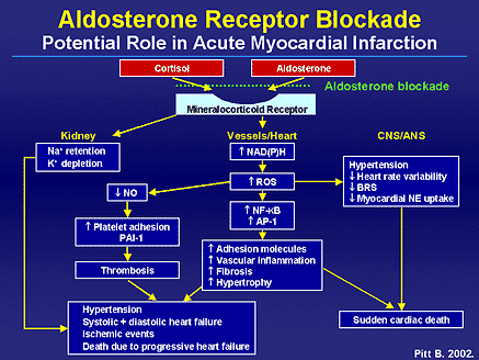 The Evolving Role of Aldosterone in Cardiovascular Disease: Rationale ...