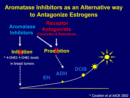 The Role of Anti-Aromatase Agents in New Treatment Strategies for ...
