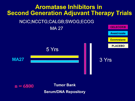 The Role of Anti-Aromatase Agents in New Treatment Strategies for ...