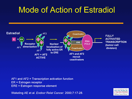 The Role of Anti-Aromatase Agents in New Treatment Strategies for ...