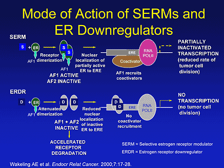 The Role of Anti-Aromatase Agents in New Treatment Strategies for Breast Cancer