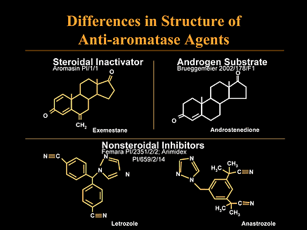 The Role of Anti-Aromatase Agents in New Treatment Strategies for ...