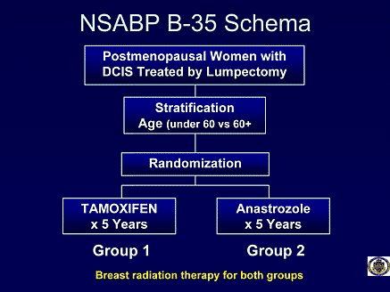 The Role of Anti-Aromatase Agents in New Treatment Strategies for ...