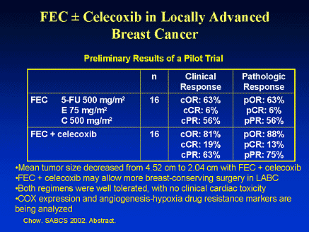 Novel Agents for the Treatment of Refractory Breast Cancer