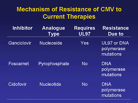 New Perspectives on CMV and Other Viruses in the Immunocompromised Patient