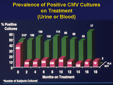 New Perspectives on CMV and Other Viruses in the Immunocompromised Patient