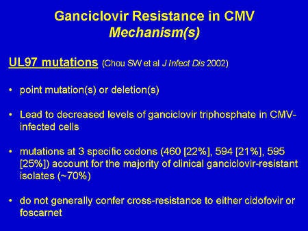 New Perspectives on CMV and Other Viruses in the Immunocompromised Patient