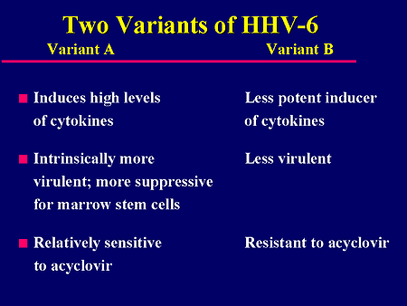 New Perspectives on CMV and Other Viruses in the Immunocompromised Patient