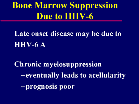 New Perspectives on CMV and Other Viruses in the Immunocompromised Patient