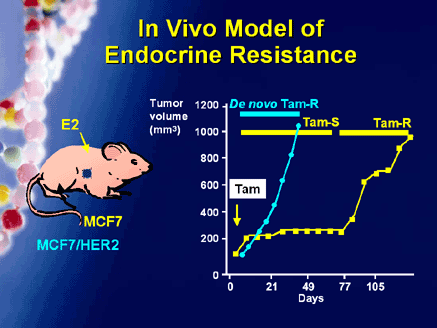 Optimizing Treatment Strategies in Breast Cancer: Use of Minimally ...