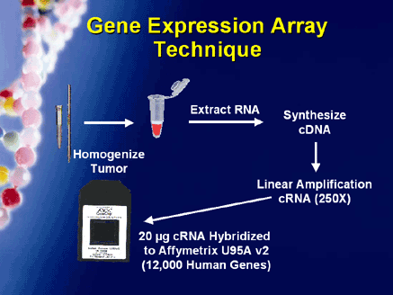 Optimizing Treatment Strategies in Breast Cancer: Use of Minimally ...