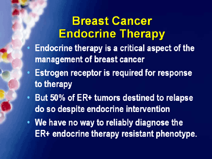 Optimizing Treatment Strategies in Breast Cancer: Use of Minimally ...
