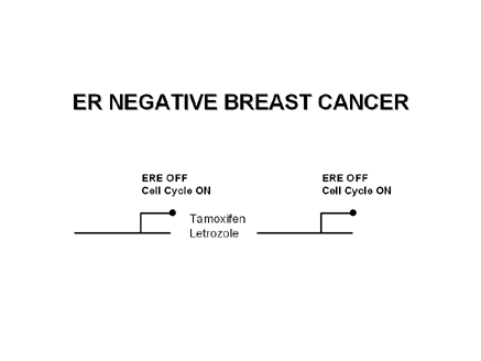 Optimizing Treatment Strategies in Breast Cancer: Use of Minimally ...