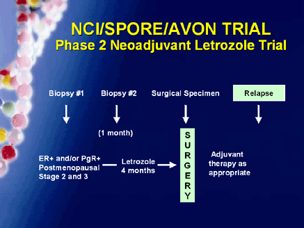 Optimizing Treatment Strategies in Breast Cancer: Use of Minimally ...