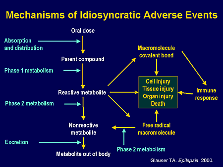 Epilepsy Therapy: Challenges of Adverse Events