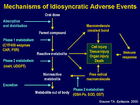 Epilepsy Therapy: Challenges of Adverse Events