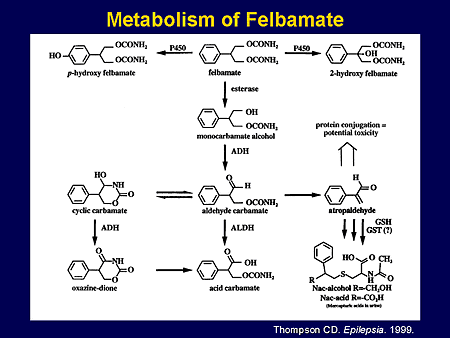 Epilepsy Therapy: Challenges of Adverse Events
