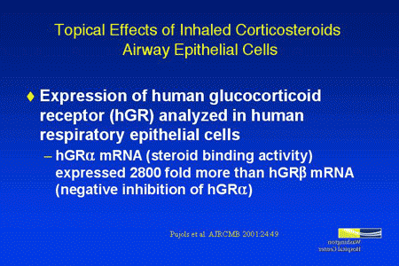 The Suspension Is Over: New Solutions for the Treatment of Asthma