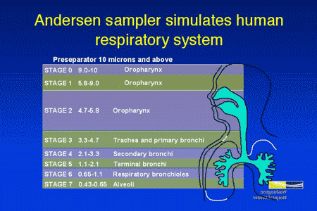 The Suspension Is Over: New Solutions for the Treatment of Asthma