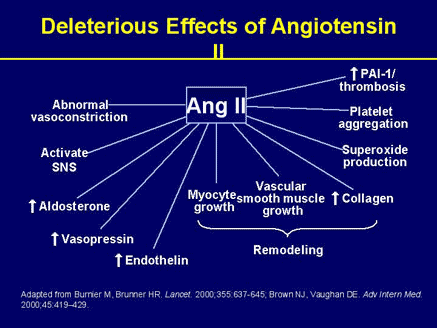 Intersection of Acute Coronary Syndromes and Heart Failure: From the ...