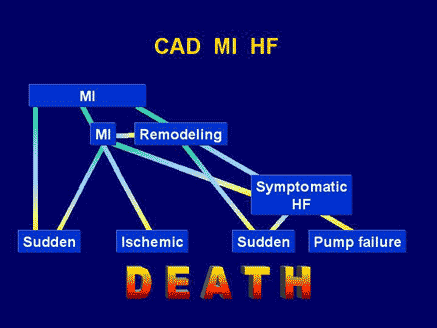 Intersection of Acute Coronary Syndromes and Heart Failure: From the ...